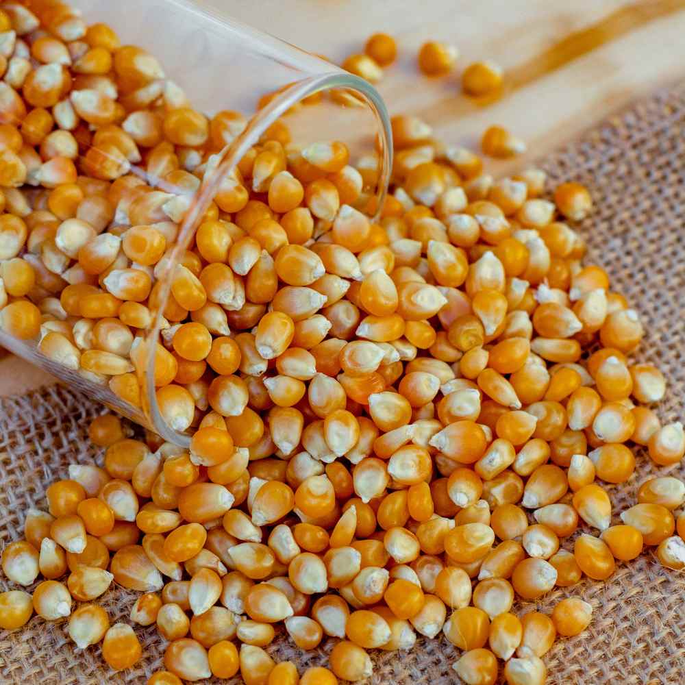 MAIZ CURAGUA – Mercado Natural